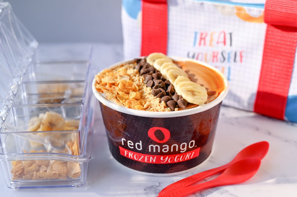 Froyo Kit - Red Mango Philippines